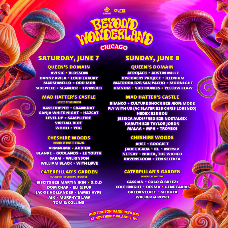 Diving into the Beyond Wonderland Chicago 2026 Lineup: What's in Store?