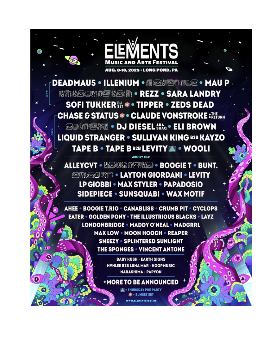 Unveiling the Elements Festival 2026 Lineup: Get Ready for the Ultimate ...