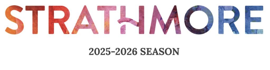 Pink Concert Lineup 2026 Revealed: Get Ready for the Ultimate Musical ...