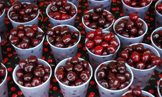 Unveiling the Traverse City Cherry Festival Lineup: Your Guide to the ...