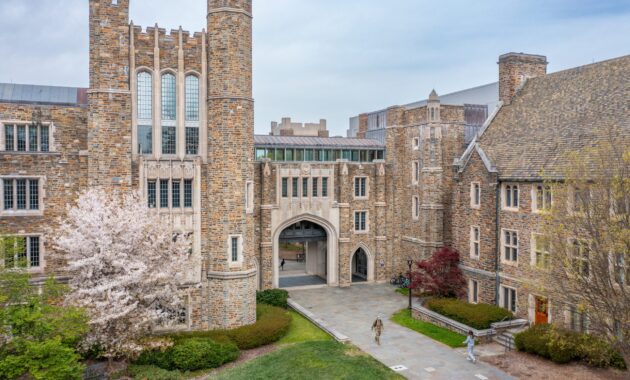 Unveiling the Sensational Pal Norte 2026 Lineup: What to Expect!