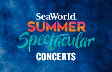 Seaworld Summer Concerts 2026 Lineup Revealed: A Guide to the Must-See ...